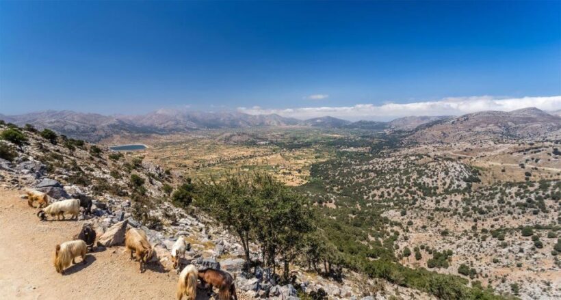 Heraklion: Sunset Safari with Dinner & Prosecco - Heraklion: Sunset Safari with Dinner & Prosecco – A Genuine Crete Adventure