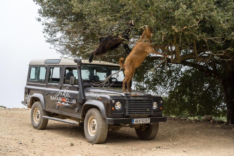 Heraklion: Sunset Safari with Dinner & Prosecco - Who Should Consider This Tour?