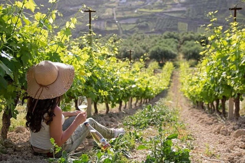 HERAKLION: Wine tasting at Douloufakis Vineyards ARISMARI - Key Points