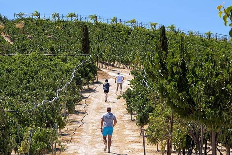 HERAKLION: Wine tasting at Douloufakis Vineyards ARISMARI - A Closer Look at the Douloufakis Winery Experience