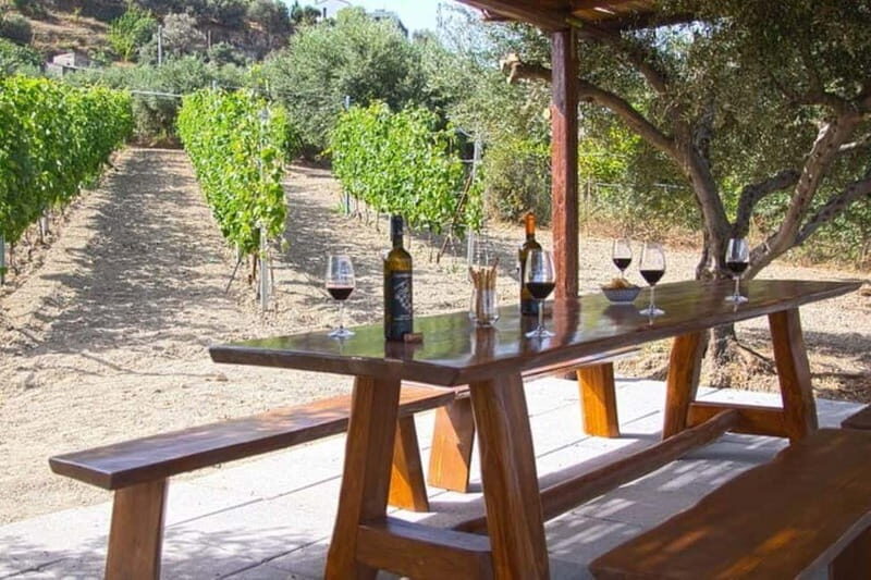 HERAKLION: Wine tasting at Douloufakis Vineyards ARISMARI - Who Should Consider This Tour?