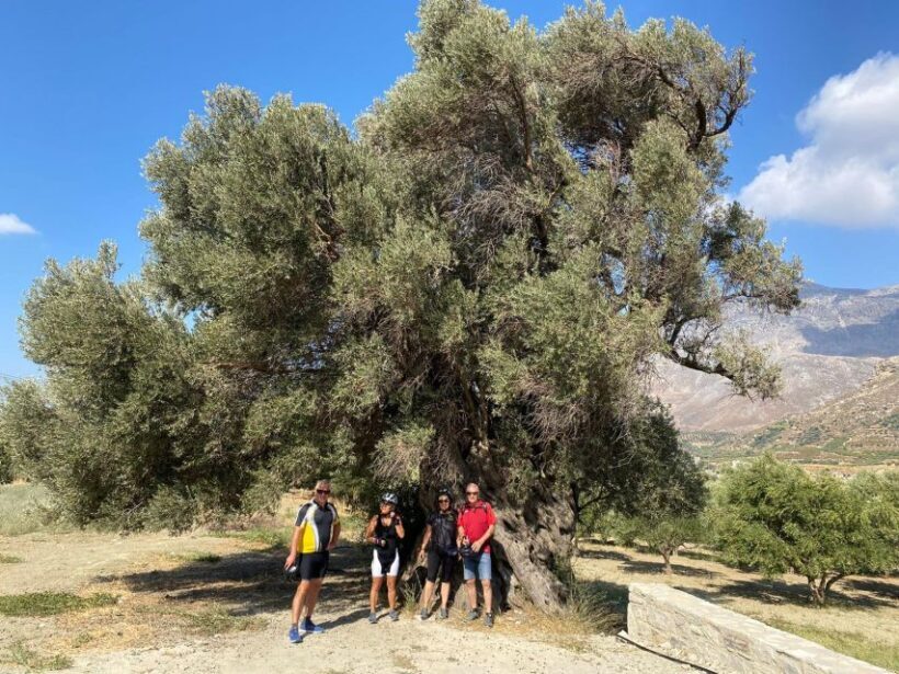 Heraklion: Wine Tasting E-Bike Tour - Practical Tips for Participants