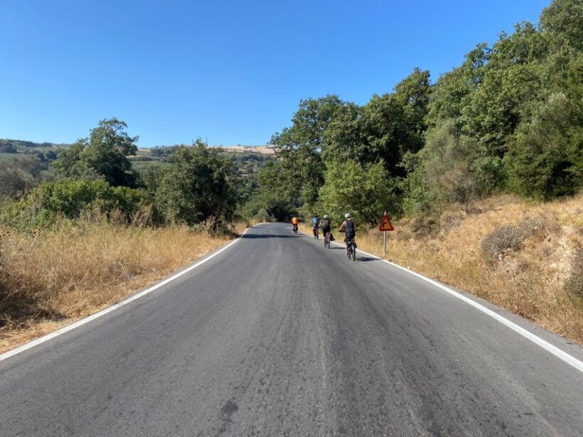 Heraklion: Wine Tasting E-Bike Tour - Who Should Consider This Tour?