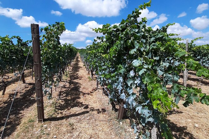 Heraklion wine tour & Cretan meze lunch - FAQs