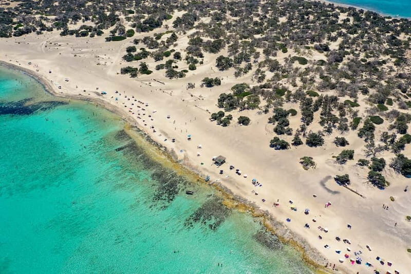 Heraklion:Cruise to Chrissi island natural park with pick up - Key Points: