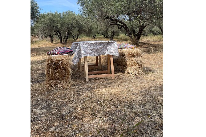 Heraklion:Olive & Dragon Fruit Farm Tour & Cretan Farmers Brunch - What the Reviews Tell Us
