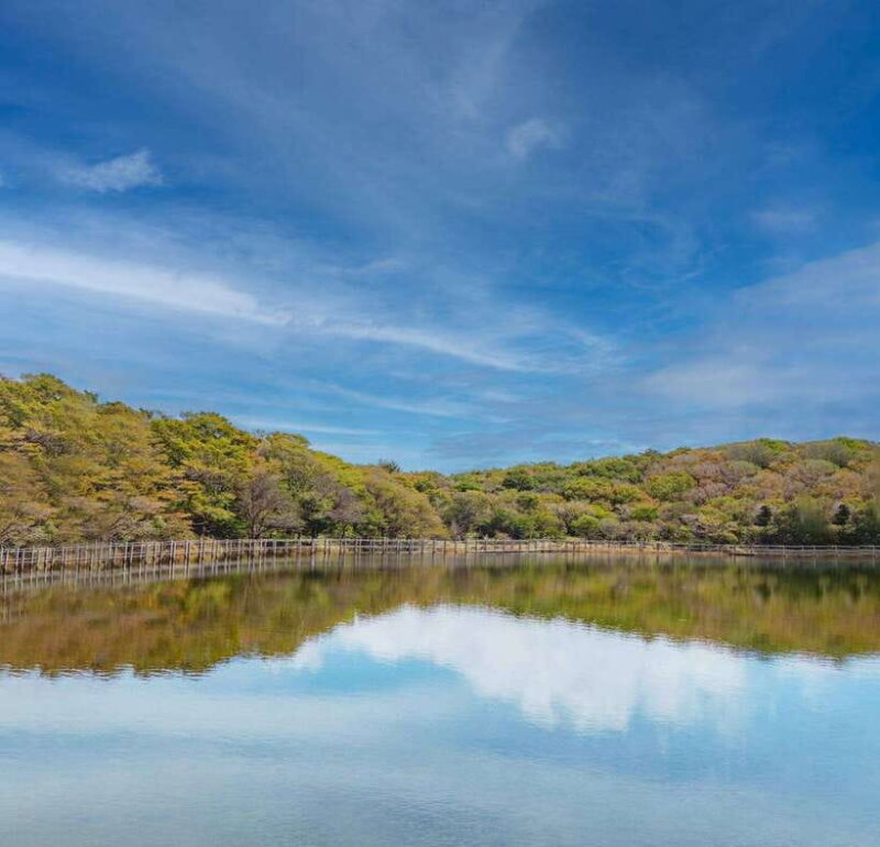 Herb Island : Sanjung Lake : Strawberry : Bidulginang Tour - Key Points