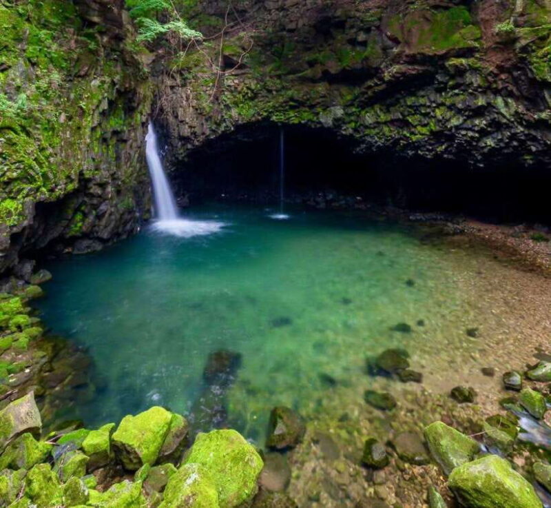 Herb Island : Sanjung Lake : Strawberry : Bidulginang Tour - Who Should Consider This Tour?