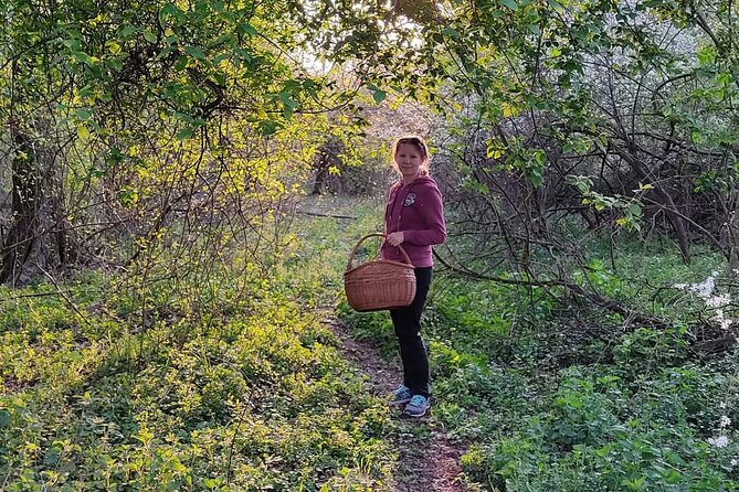 Herbal and Wild food walking tour in Warsaw area - Summary