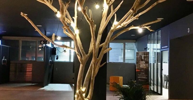 Herblay: Line Of Fire - Insights from Participants