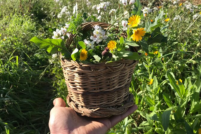 HERBS LAB - From Plant to Glass - Experience Highlights and Reviews