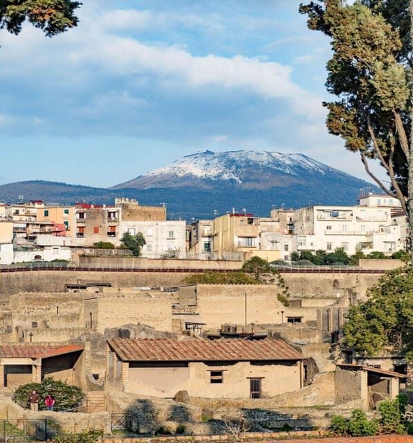 Herculaneum: 2H Private Tour - Discovering Herculaneum: What to Expect