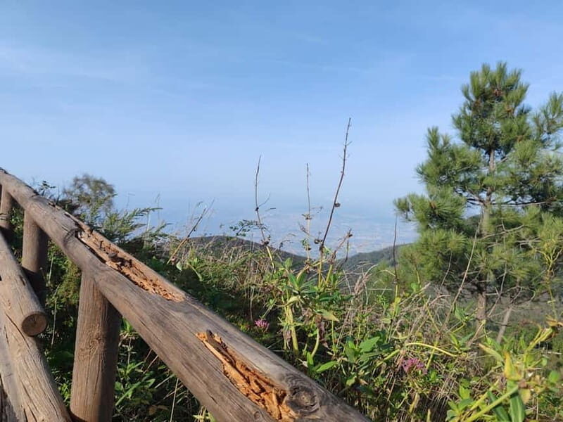 HERCULANEUM AND VESUVIUS: PRESTIGE TOUR FROM NAPLES - Introduction