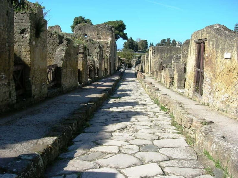 HERCULANEUM AND VESUVIUS: PRESTIGE TOUR FROM NAPLES - Detailed Breakdown of the Itinerary