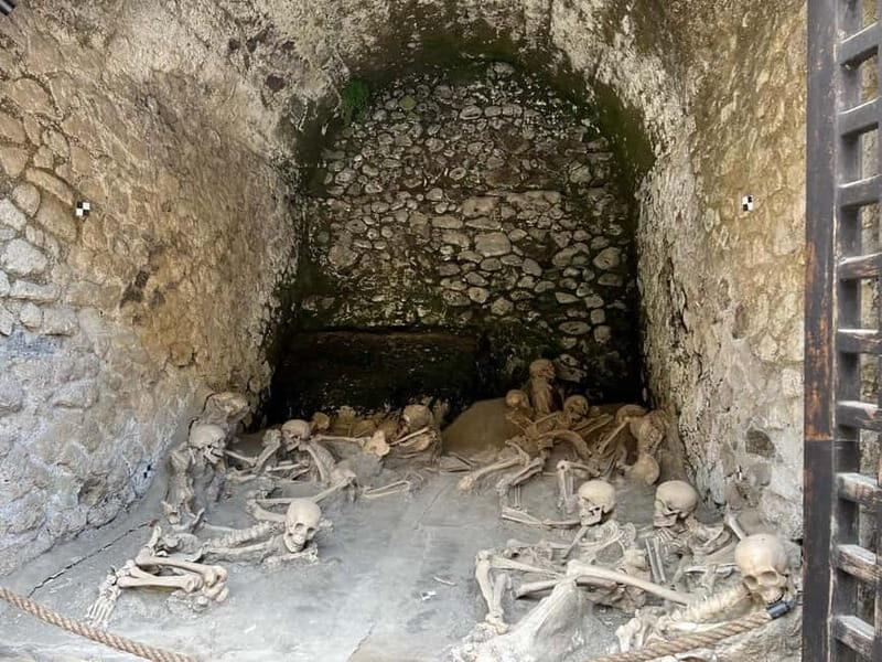 HERCULANEUM AND VESUVIUS: PRESTIGE TOUR FROM NAPLES - The Value of This Tour