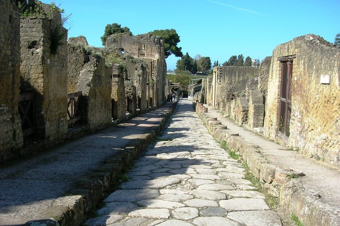 Herculaneum Guided Tour & Amalfi Coast Private Tour with Driver from Naples - Frequently Asked Questions