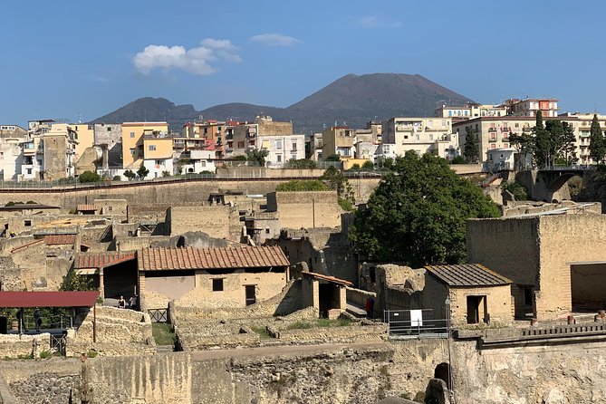 Herculaneum Guided Tour With Your Archaeologist - Enriching the Visitor Experience
