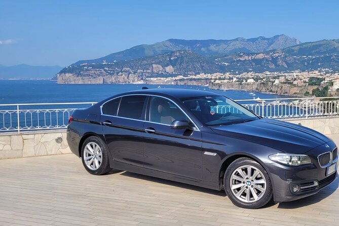 Herculaneum Positano and Sorrento Tour - Key Points