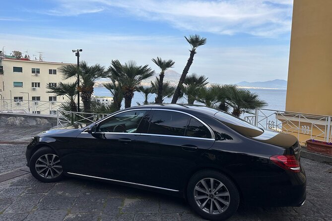 Herculaneum Positano and Sorrento Tour - Transportation and Practicalities