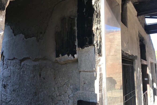 Herculaneum - Private Tour (skip-the-line admission included) - Who This Tour Is Best For