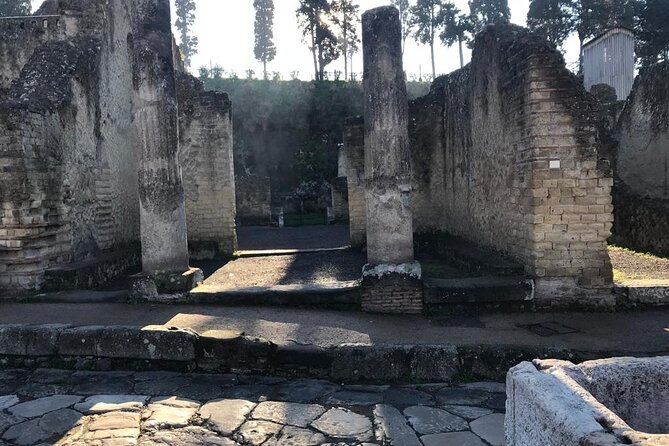 Herculaneum - Private Tour (skip-the-line admission included) - FAQ: Your Practical Questions Answered