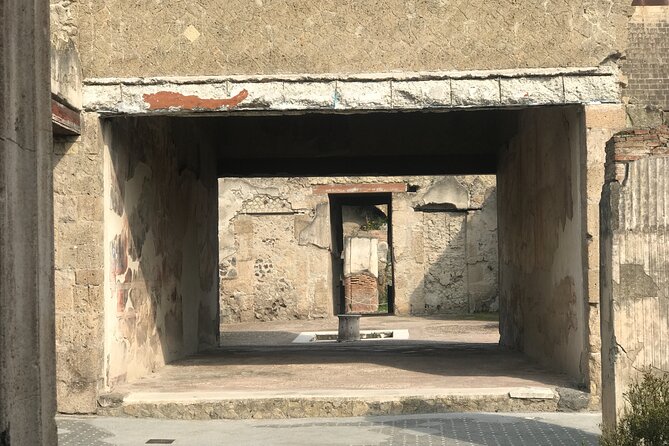 Herculaneum Private Tour With an Archaeologist - Experiencing the Archaeological Wonders of Herculaneum