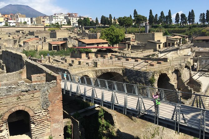 Herculaneum Private Walking Guided Tour 2 Hours - Inclusions