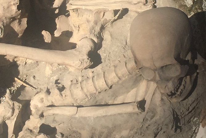 Herculaneum Private Walking Guided Tour 2 Hours - Accessibility