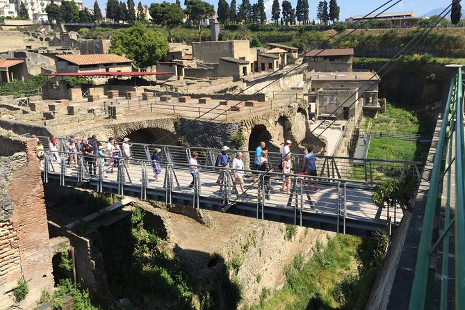 Herculaneum Private Walking Guided Tour 2 Hours - Highlights of the Tour