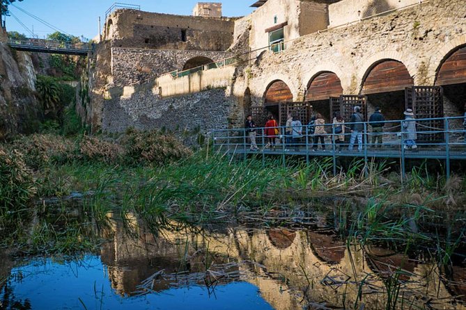 Herculaneum Private Walking Tour - Accessibility and Considerations