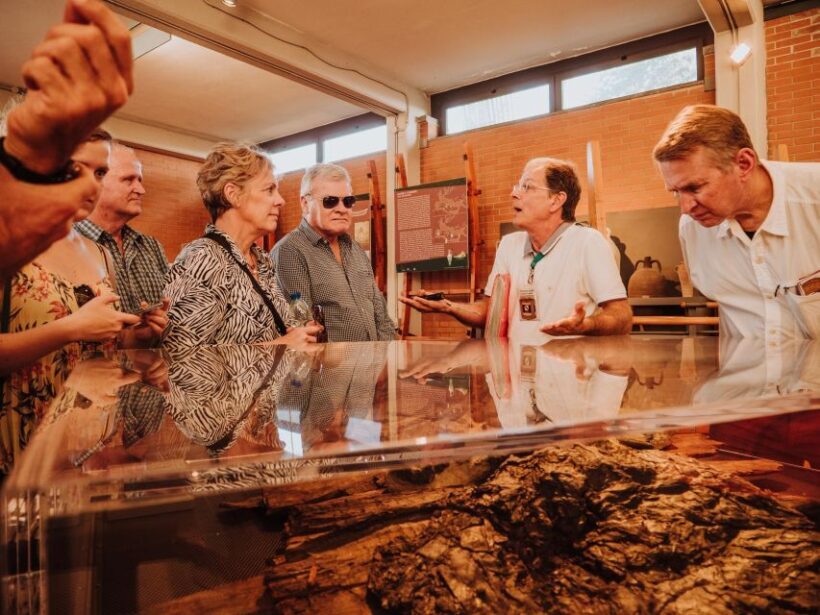 Herculaneum: Private Walking Tour with Archeologist Guide - Key Points