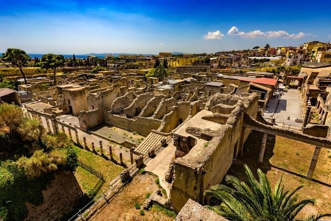 Herculaneum ruins and Naples Center Full Day Private Tour From Rome - Key Points