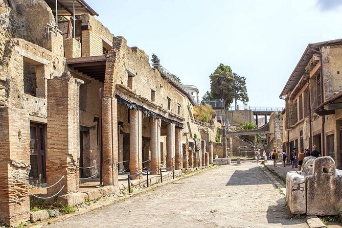 Herculaneum ruins and Naples Center Full Day Private Tour From Rome - Transportation and Practicalities