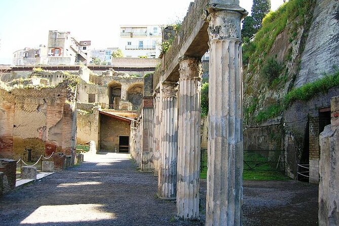 Herculaneum ruins and Naples Center Full Day Private Tour From Rome - FAQs