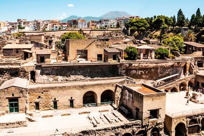 Herculaneum Ruins Private Half-Day Tour - Herculaneum Ruins Private Half-Day Tour: A Practical Look for Curious Travelers