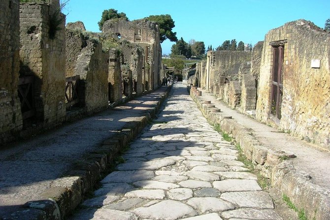 Herculaneum Ruins Private Half-Day Tour - Analyzing Value and Cost