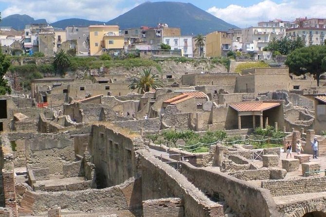 Herculaneum Ruins Private Half-Day Tour - The Sum Up