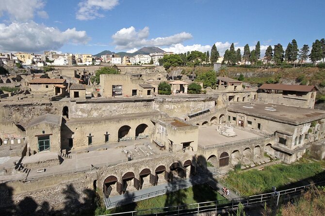 Herculaneum VIP Tour with Lunch from Naples - Key Points