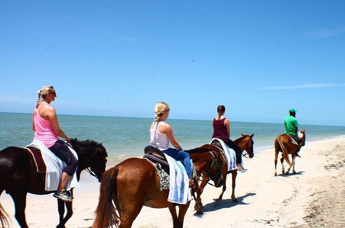 Heritage Beach Horseback Riding Tour - A Closer Look at the Heritage Beach Horseback Riding Tour