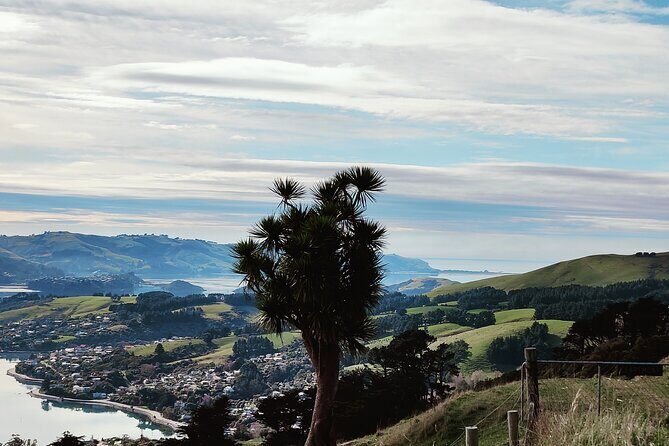 Heritage City and Larnach Castle Van tour with Historian Guide - FAQ