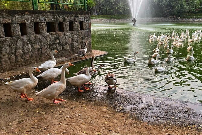 Heritage Delhi Private Walking & Shopping Tour - Key Points