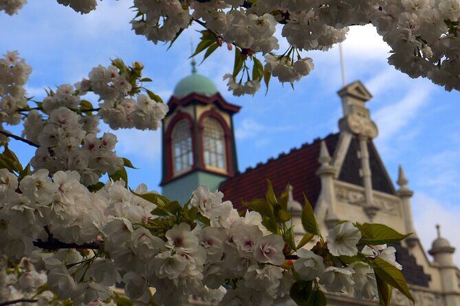 Heritage Dunedin City Walking Guided Tour - The Sum Up