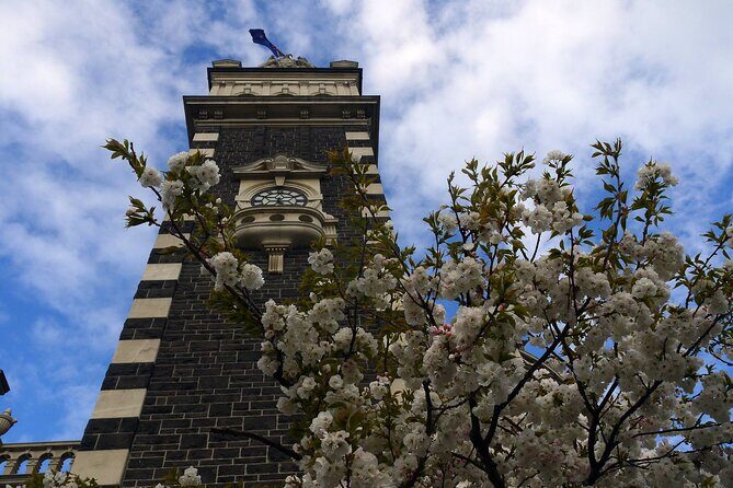 Heritage Dunedin City Walking Guided Tour - FAQ