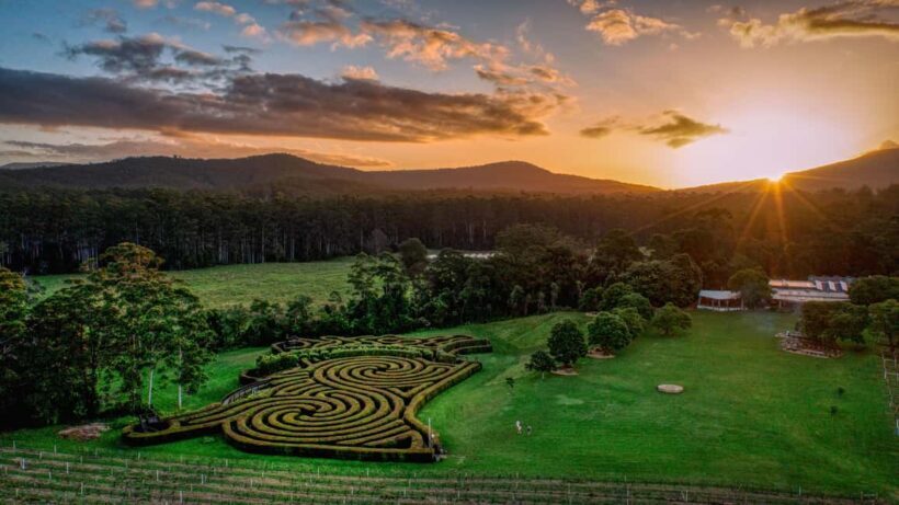 Herons Creek: Bago Maze Entry Ticket - Authentic Experiences & Visitor Feedback