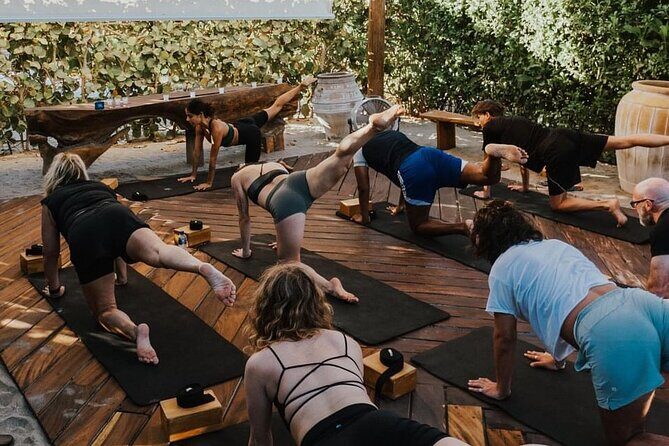 Herradero Flamingos Private Yoga Class Experience - Final Thoughts: The True Value of Mindful Rest