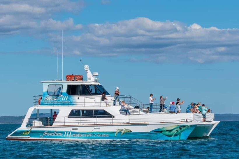 Hervey Bay: 3/4 Day Whale Watching Cruise with Lunch - Who Should Consider This Tour?