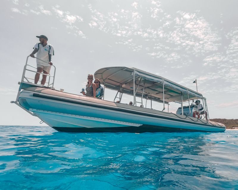 Hervey Bay: Half-Day Whale and Island Adventure by Boat - Final Thoughts: Is This Tour Right for You?