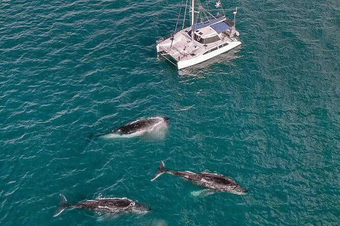 Hervey Bay Overnight Whale Watching Cabin Hire - What’s Included and What’s Not?