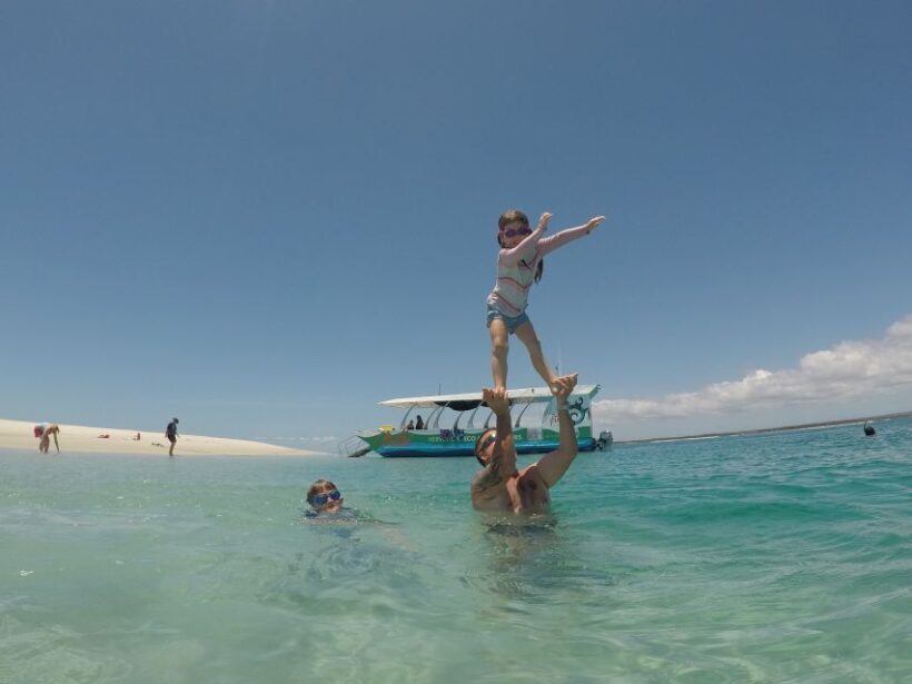 Hervey Bay: Turtle Discovery Eco Tour - The Itinerary: What to Expect from Start to Finish
