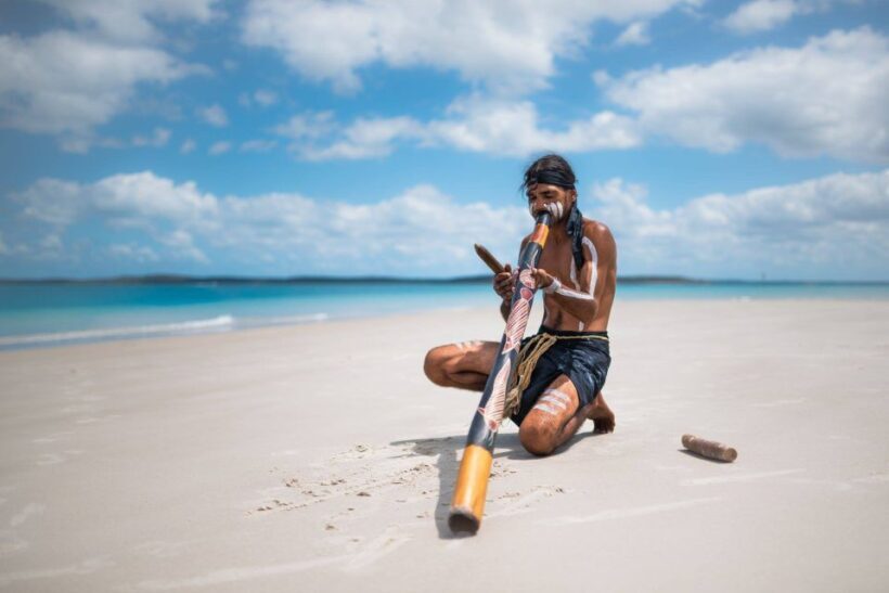 Hervey Bay: Turtle Discovery Eco Tour - Practical Details: Transportation, Timing, and Group Size